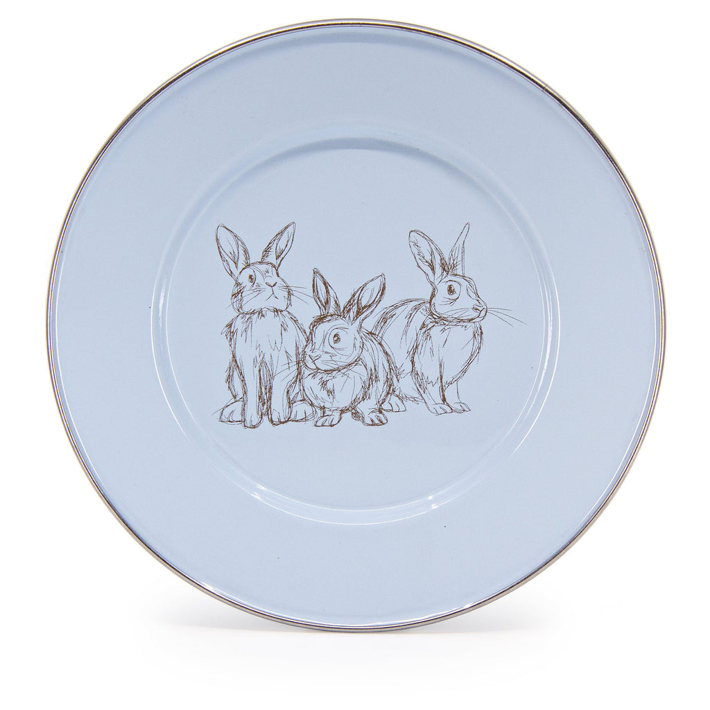 GRB99 - Dinosaurs Child Set - UPC 619199992845 – Golden Rabbit Enamelware